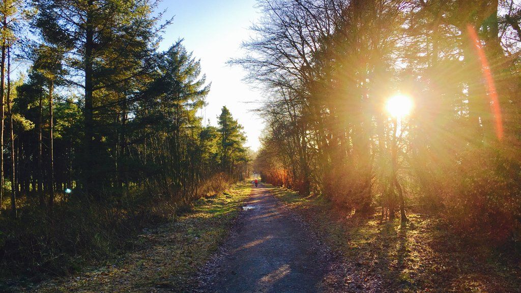 Your pictures of Scotland: 30 December - 6 January - BBC News
