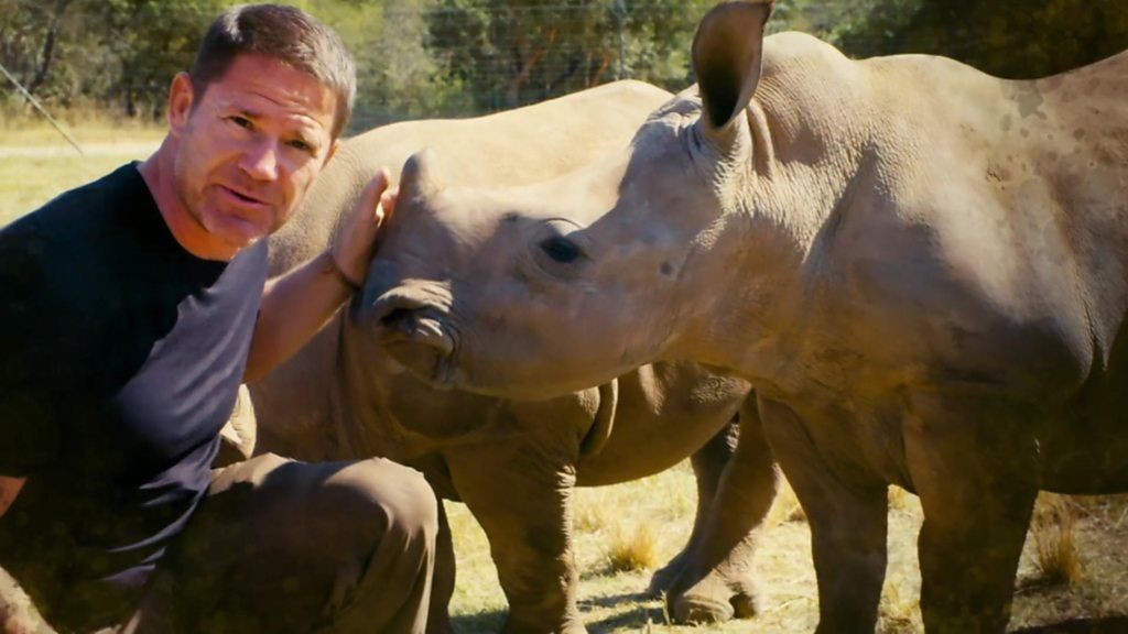 Deadly 60: Steve Backshall's back with brand new series - BBC Newsround