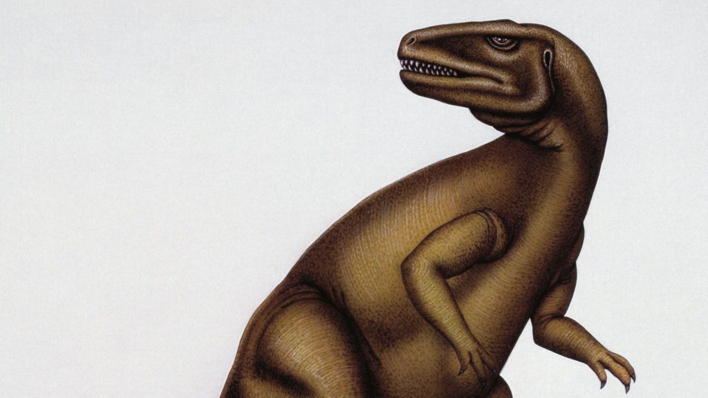 Megalosaurus: Two hundred years since first dinosaur officially named ...