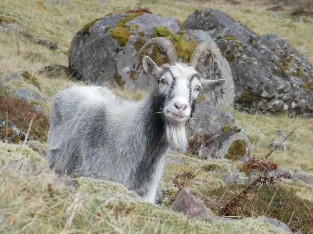 Your pictures of Scotland: 15 April - 22 April - BBC News