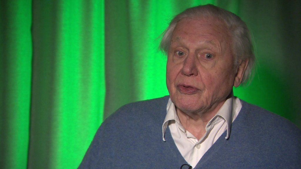 Leah meets Sir David Attenborough - BBC Newsround