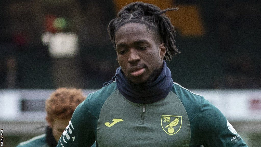 Jonathan Rowe: Norwich forward hopes to contribute to play-offs push ...