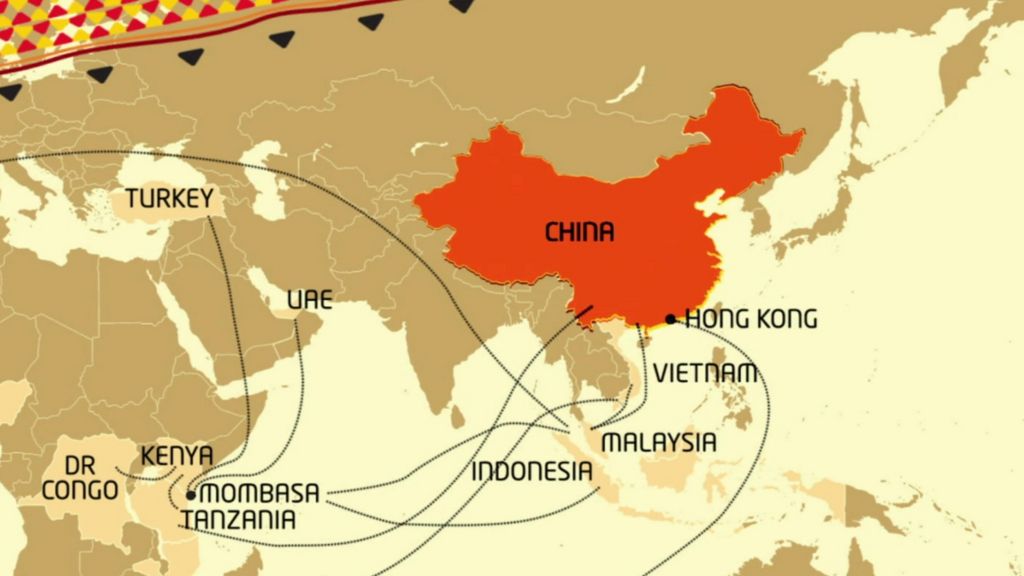 How does the trade in elephant ivory work? - BBC Newsround