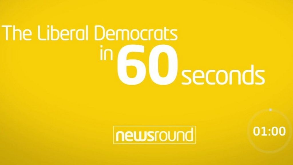 General election 2017: The Liberal Democrats in 60 seconds - BBC Newsround