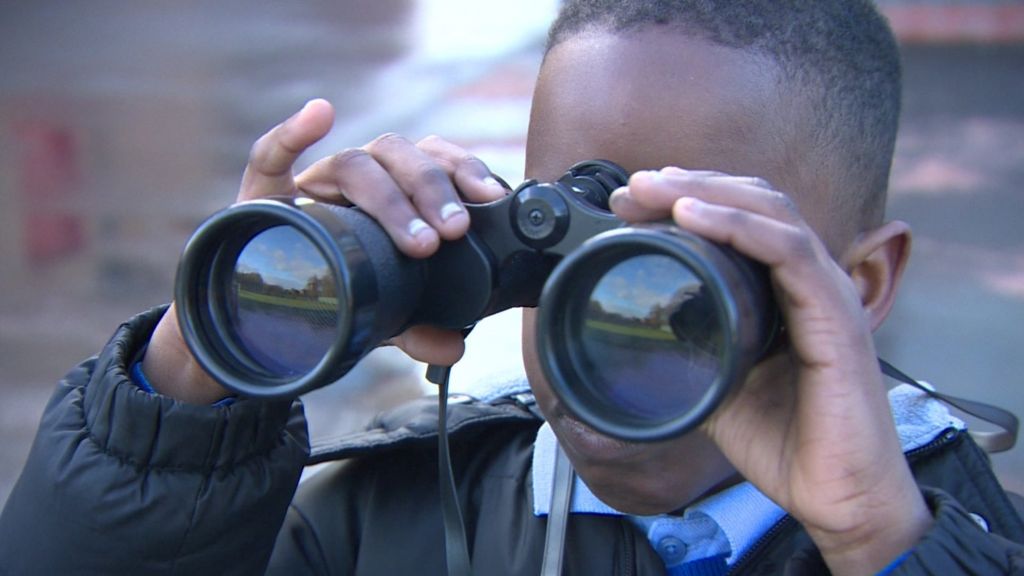 Why thousands of kids have got the birdwatching bug - BBC Newsround