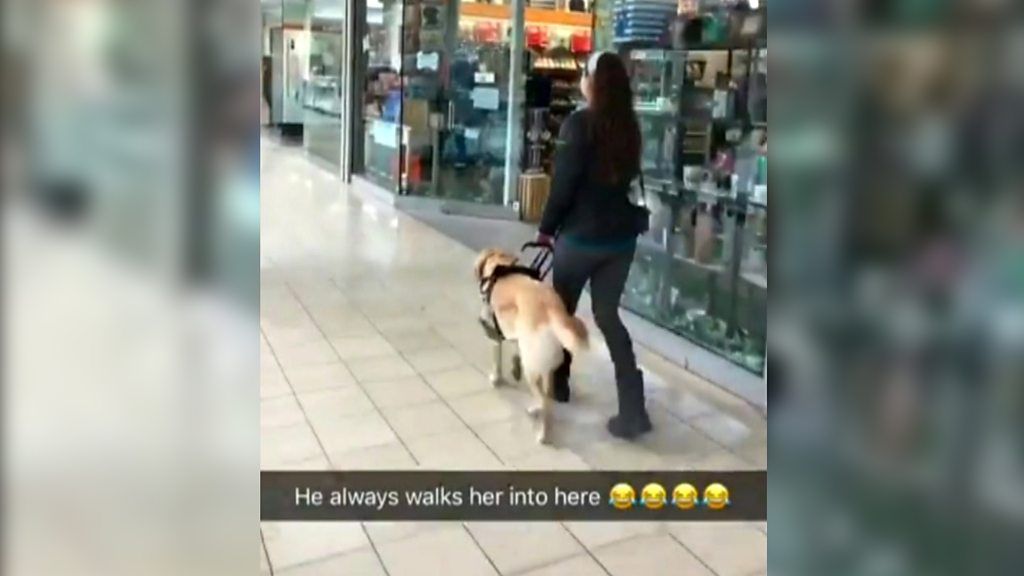 Guide dog sneakily takes his owner shopping to where HE wants to go ...