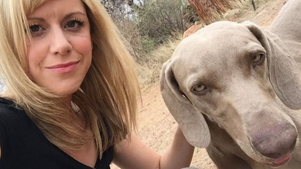Jenny's South Africa elephant diary: Day 3 update - BBC Newsround