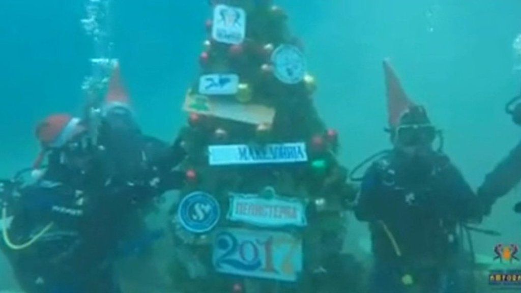 Divers add finishing touches to underwater Christmas tree - BBC Newsround