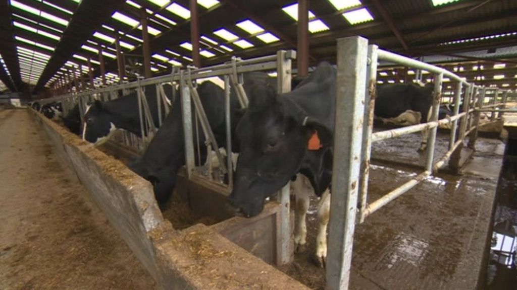 Grass cuttings used to produce electricity - BBC News