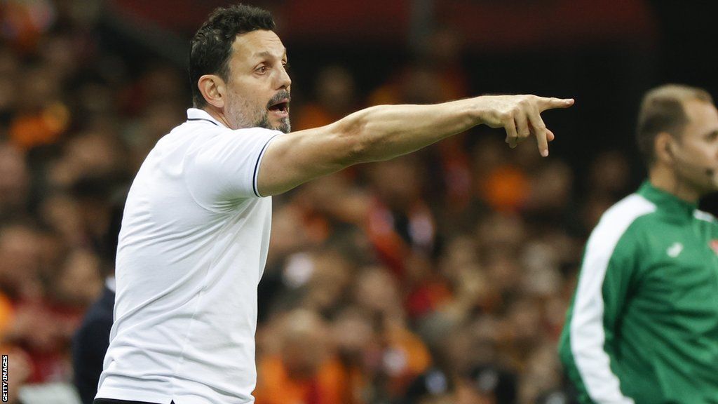 Erol Bulut the 'perfect fit' for Cardiff City, says ex-Bluebirds ...