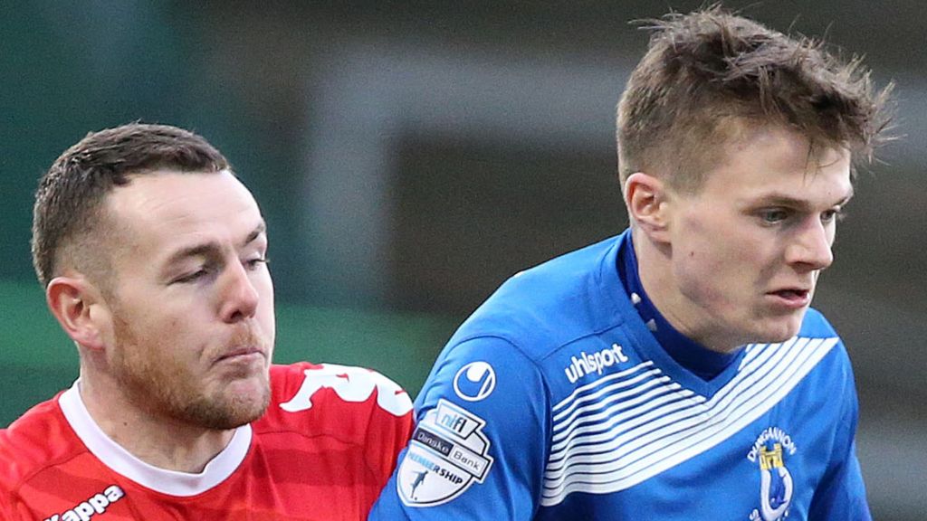 Andrew Mitchell double as Swifts draw at Glentoran - BBC Sport