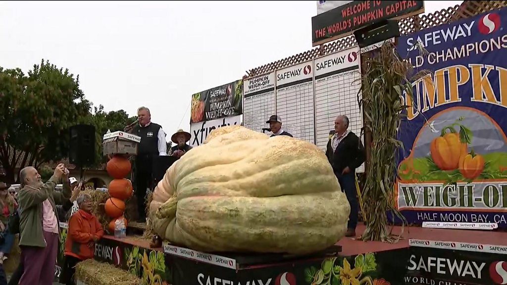 Pumpkin weighing 2,749lb squashes world record - BBC News