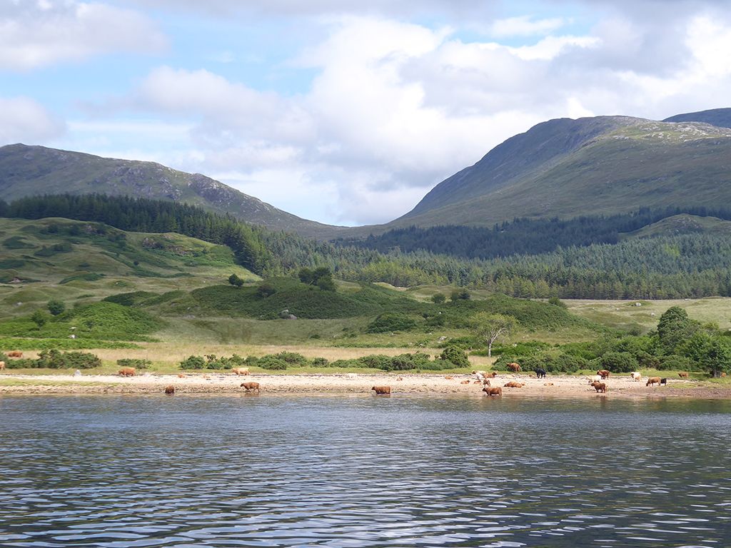 Your pictures of Scotland: 11-18 August - BBC News