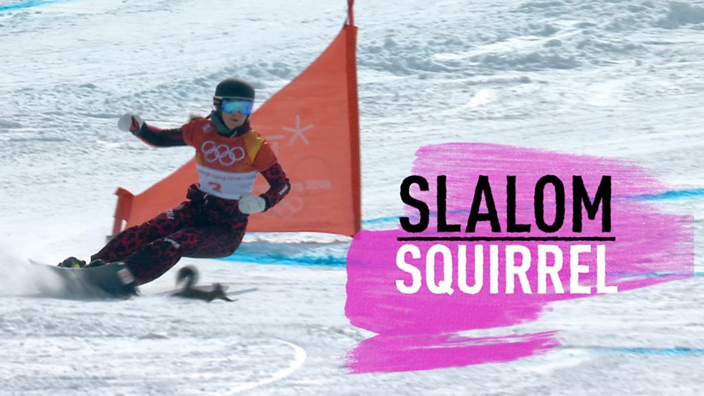 Winter Olympics: Slalom squirrel - snowboarder narrowly avoids furry ...