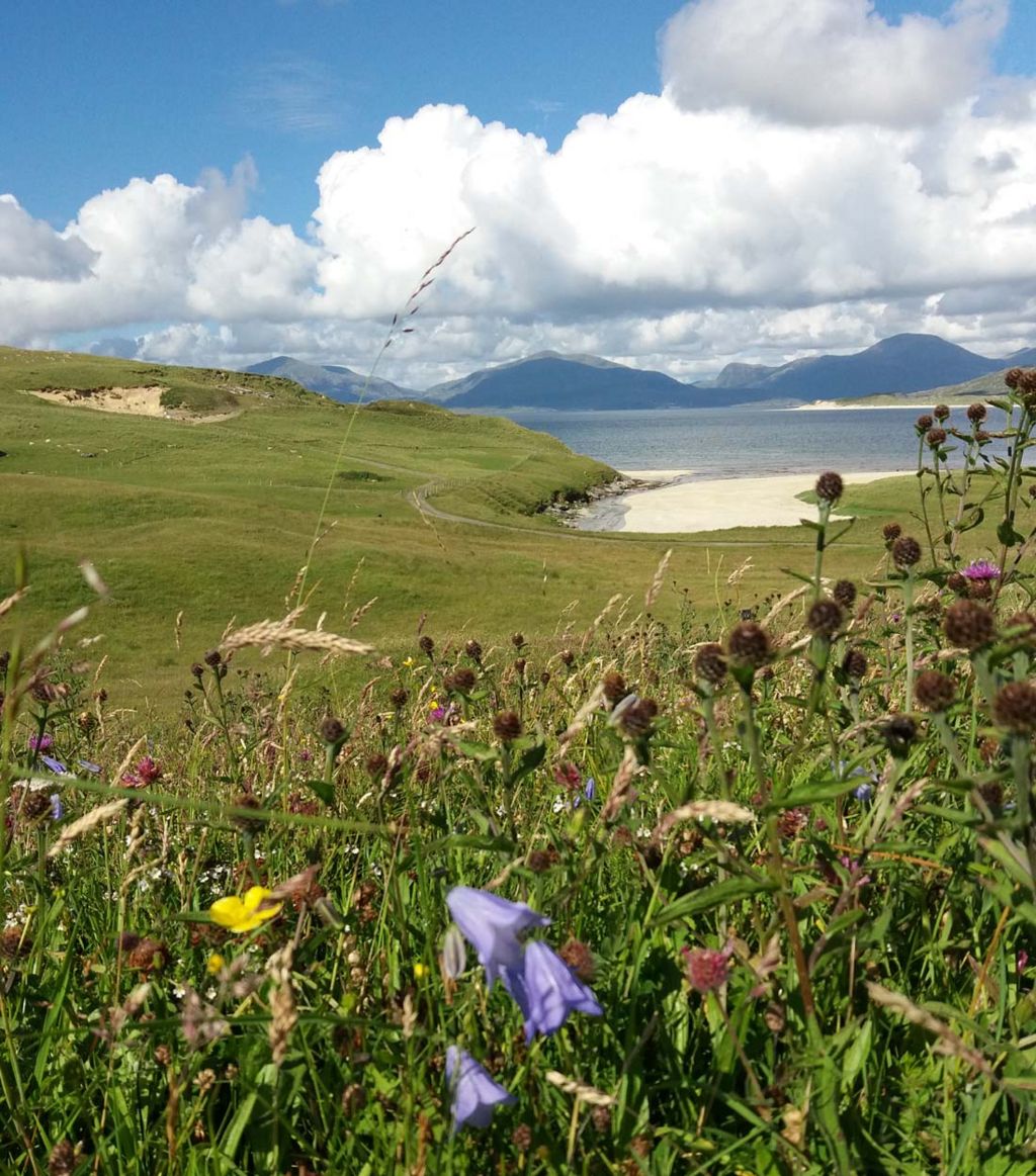 Your pictures of Scotland: 18 - 25 August - BBC News