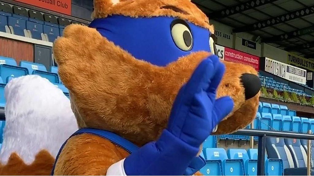 Kilmarnock new mascot: How Captain Conker was created - BBC Sport