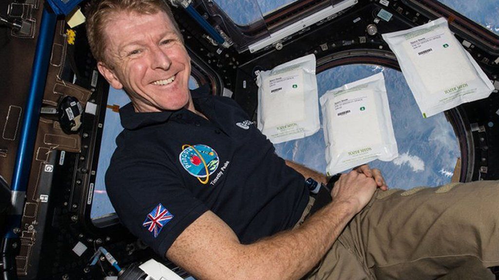 Kids help Tim Peake with space seed experiment - BBC Newsround