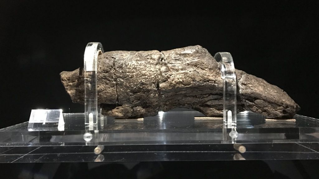 What does Viking poo tells us about life 1,000 years ago? - BBC Newsround