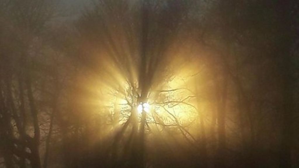 When the weather is calm, with temperature and humidity just right ...