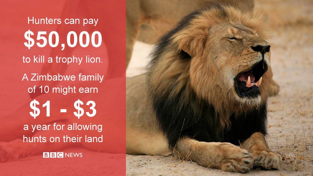 Go Figure: The week in numbers - BBC News