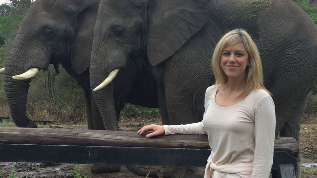 Jenny gets to feed an African elephant - BBC Newsround