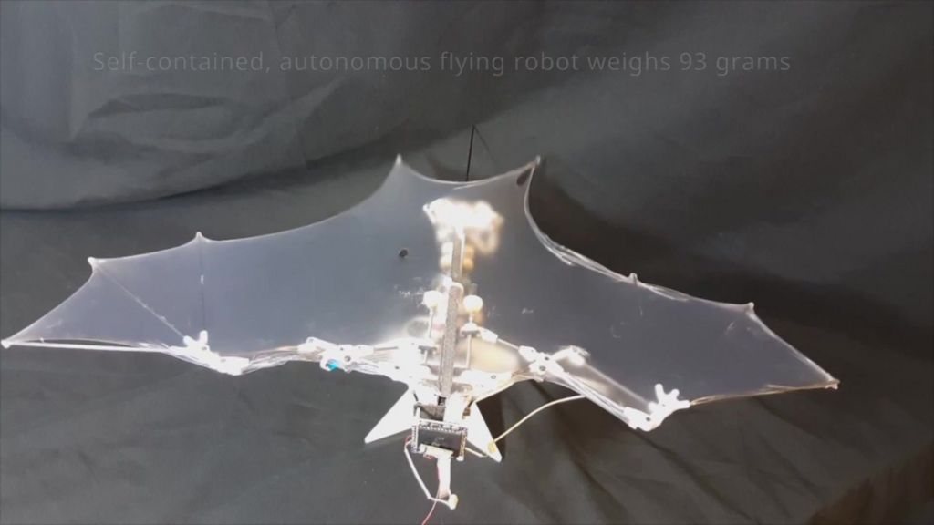 Scientists unveil new 'Bat Bot' - BBC Newsround