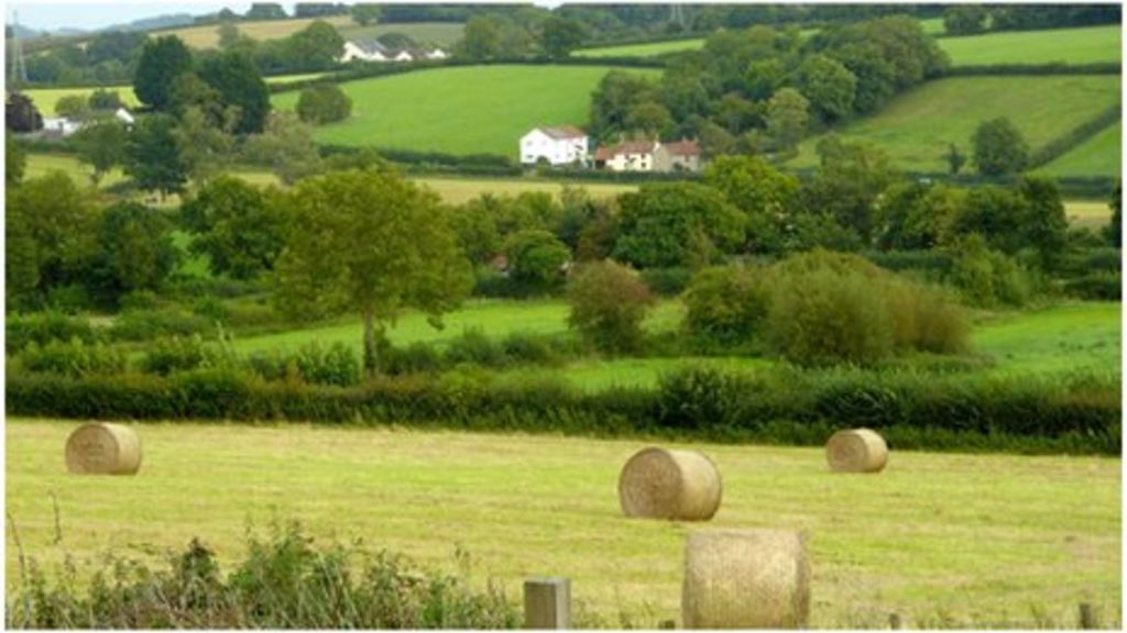 Weather for the week ahead - BBC Weather