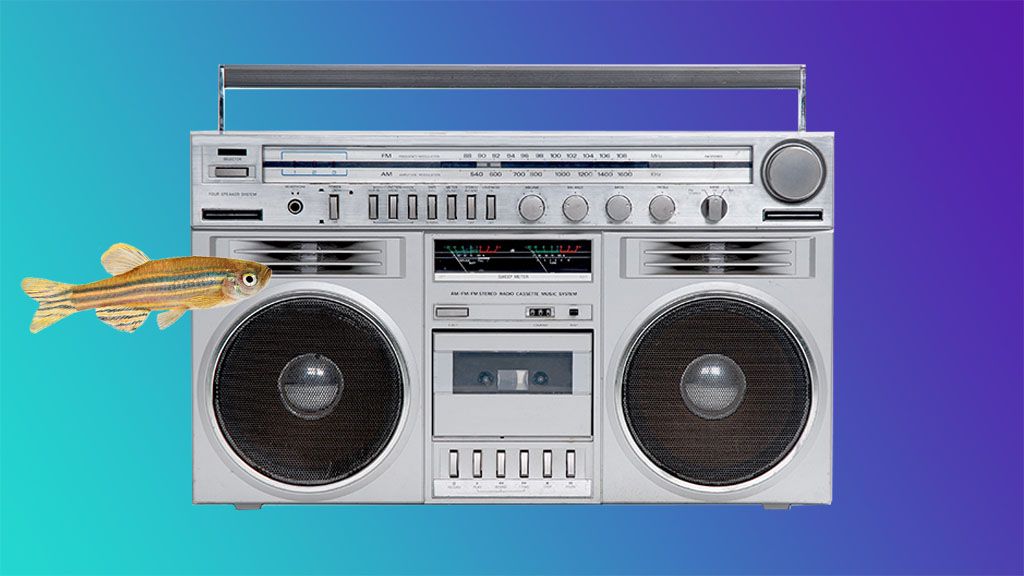 Hip hop 50th anniversary: Grandmaster Flash to Stormzy - a history of ...