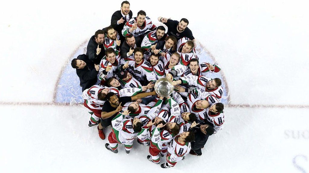 Cardiff Devils facing a season-defining January - BBC Sport