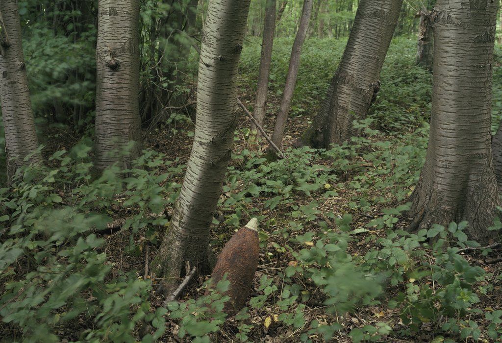 Mametz Wood Haunting Photos Show Scars Left Behind BBC News