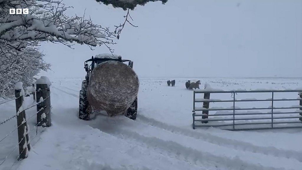 Rabhadh mu shneachd is deigh air feadh Alba - Naidheachdan a' BhBC