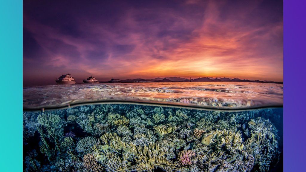 Incredible photos from the DEEP Indonesia International Underwater ...