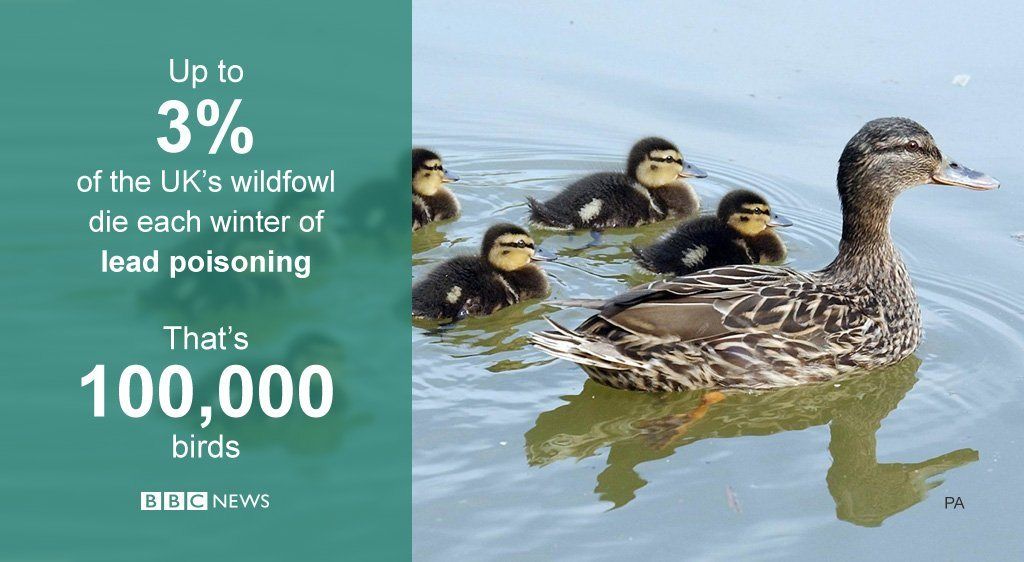 Go Figure: The week in numbers - BBC News
