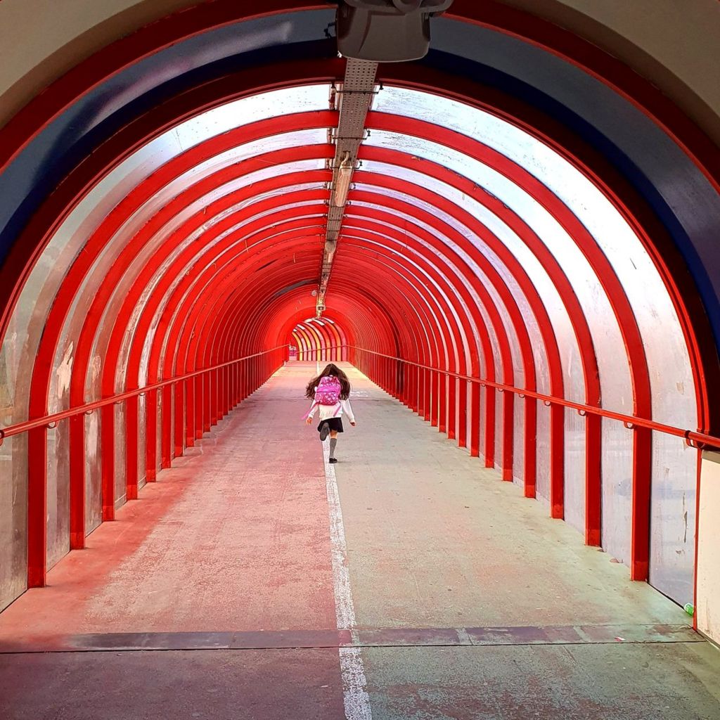 Your pictures of Scotland: 17-24 June - BBC News