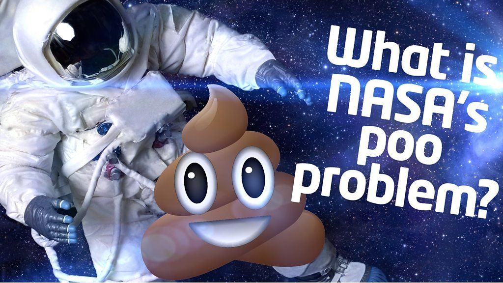 Plops away! - India to fine airlines for dropping poo - BBC Newsround