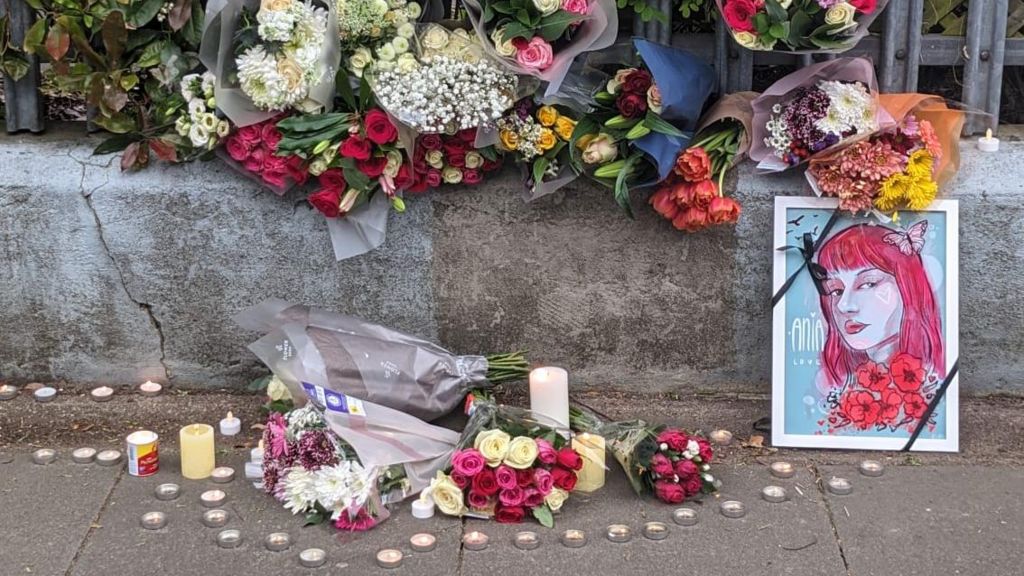 Ealing murder: Ex-boyfriend murdered student in 'ferocious' stabbing ...