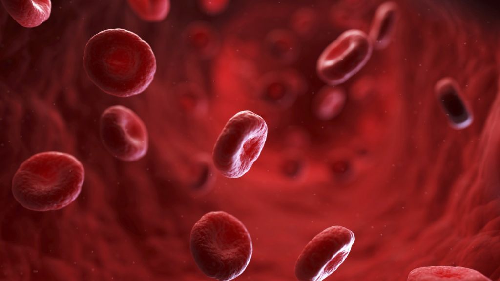 The Big Question: Why is blood red? - BBC Newsround