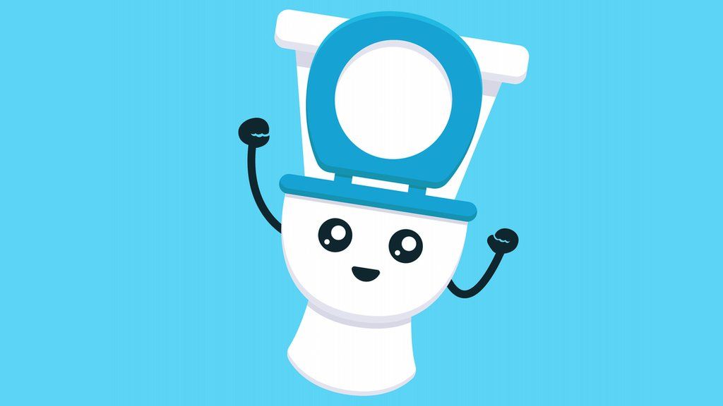 School toilets: 'Access to clean loos is a human right' - BBC Newsround