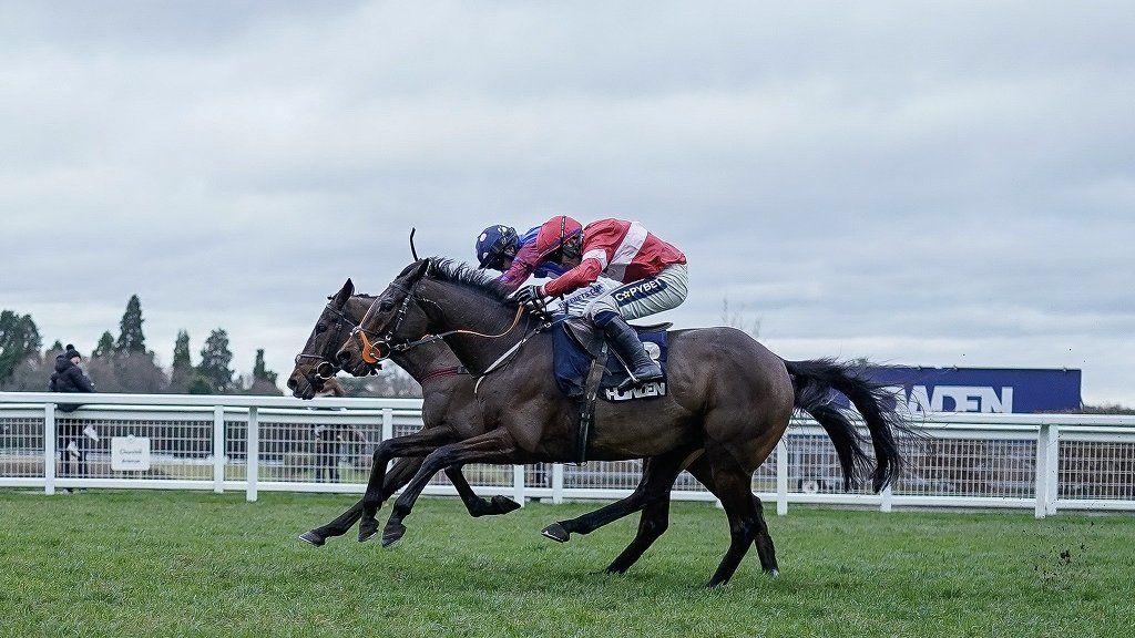 Long Walk Hurdle: Crambo edges out three-time winner Paisley Park at ...