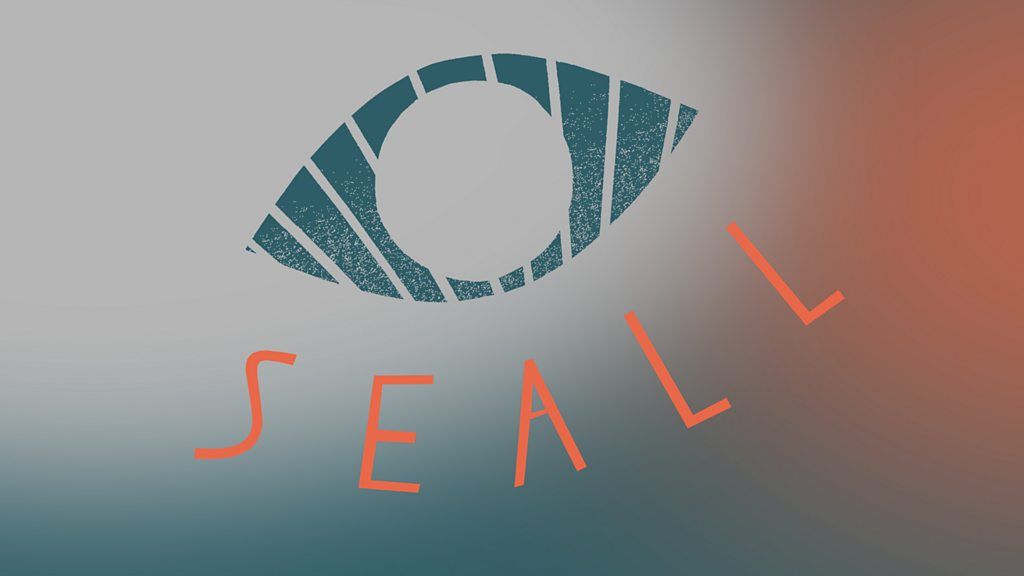 Seall aig 30 - Naidheachdan a' BhBC