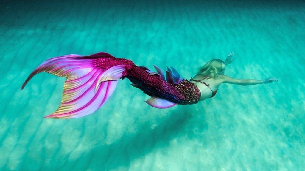 Check out the 'Merlympics' - BBC Newsround