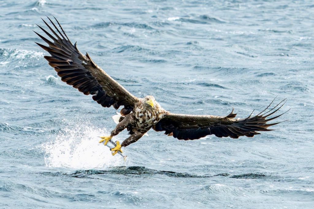 Your pictures of Scotland: 1 - 8 September - BBC News