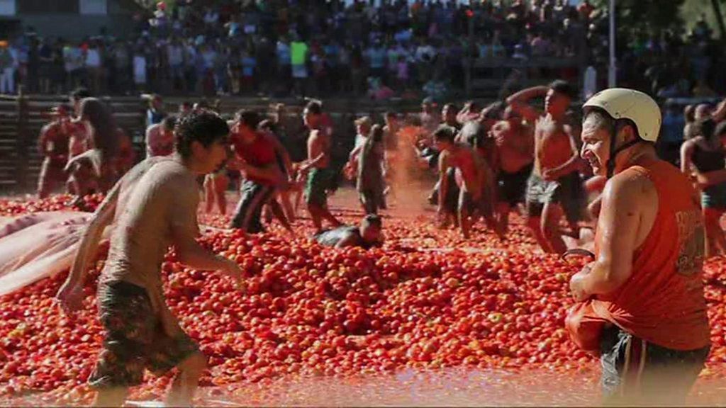 Chile Tomato War: Hundreds in huge tomato throwing battle - BBC Newsround