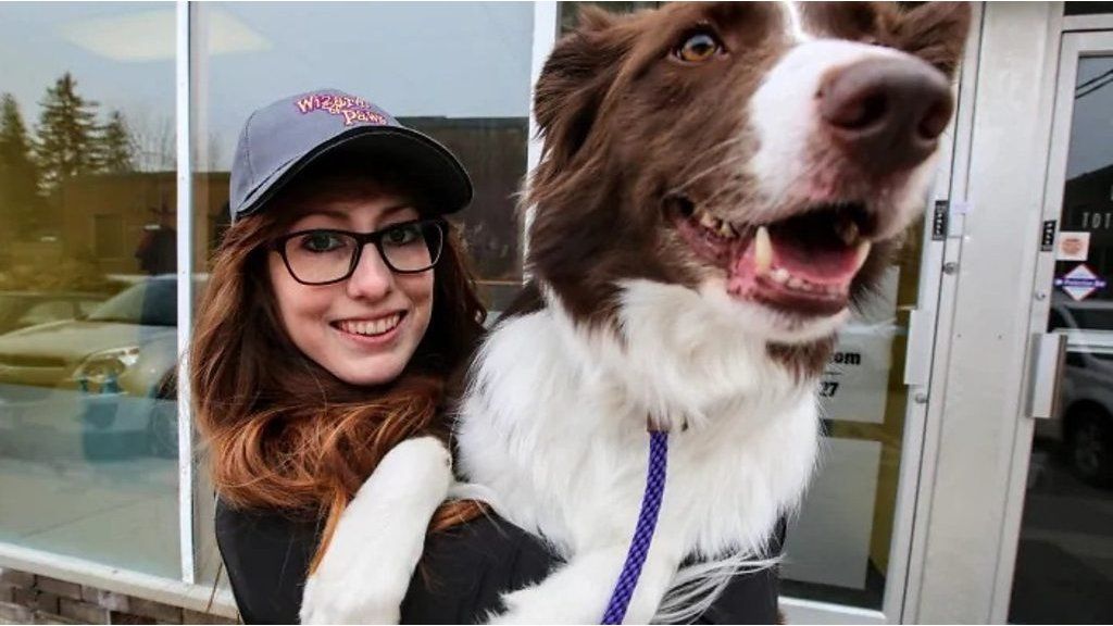 World's Most Amazing Dog: Rev took part in popular Facebook contest ...