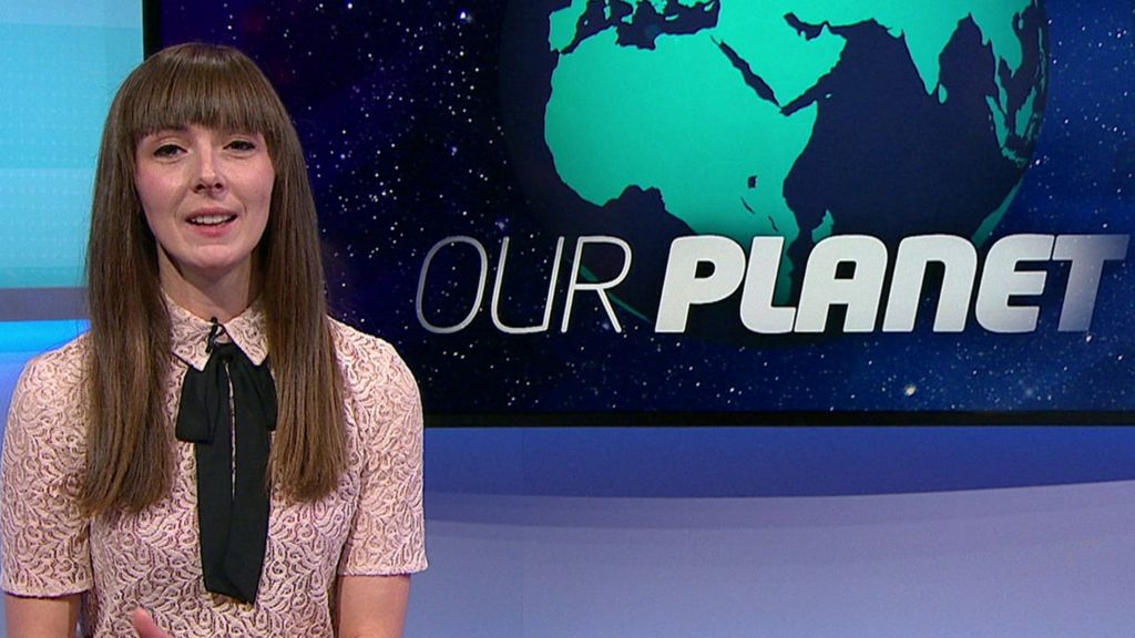 Climate change: An expert answers YOUR questions - BBC Newsround