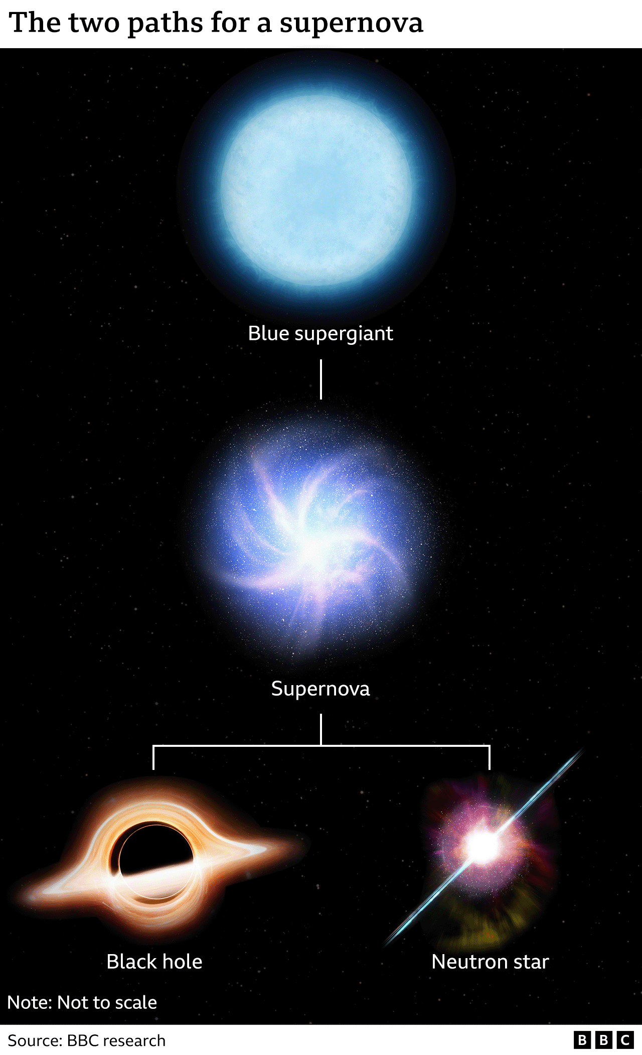 Supernova: Astronomers crack cosmic 'murder mystery' - BBC News