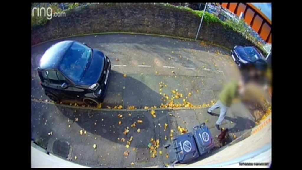 Newport: Man caught on CCTV kicking cat against wall - BBC News