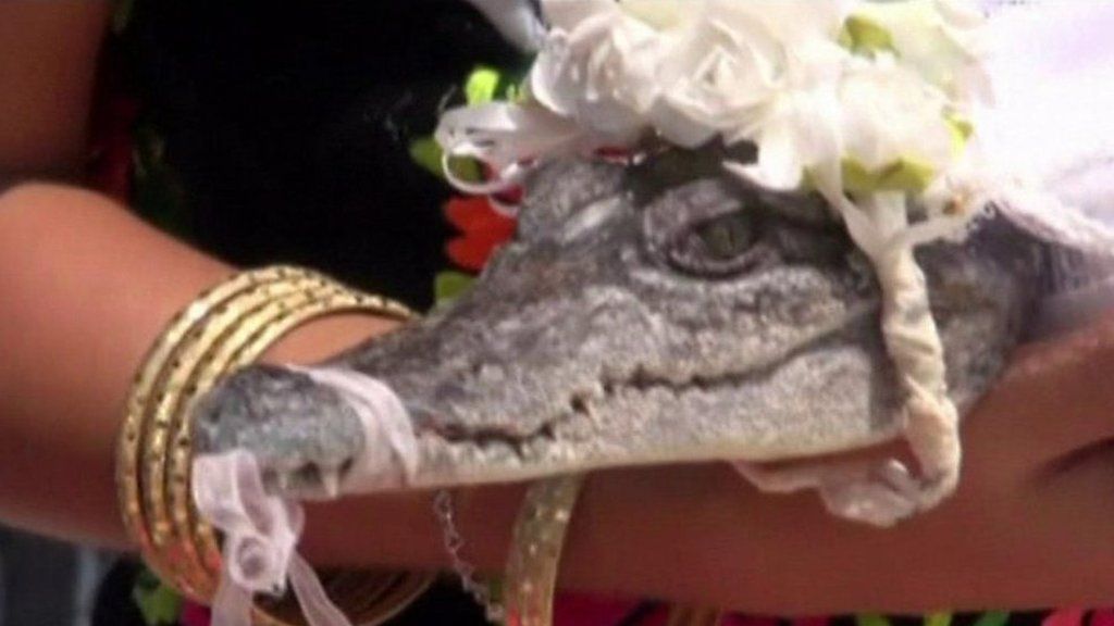 Why has this mayor in Mexico married a crocodile? - BBC Newsround