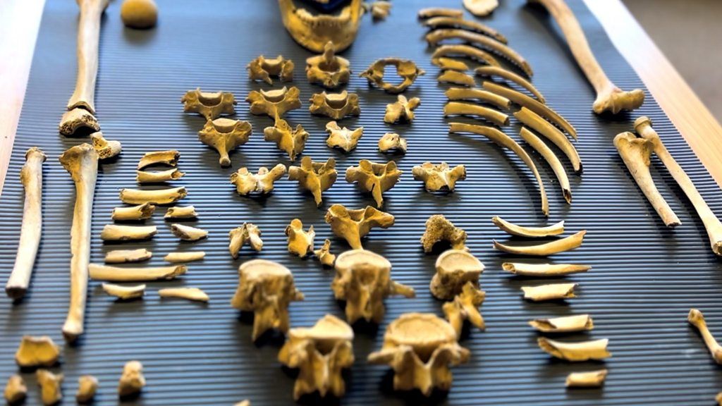 Ancient human remains found in County Armagh - BBC News