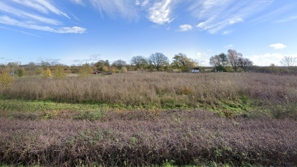 Charity plan to create 200-acre nature reserve near Cambridge - BBC News